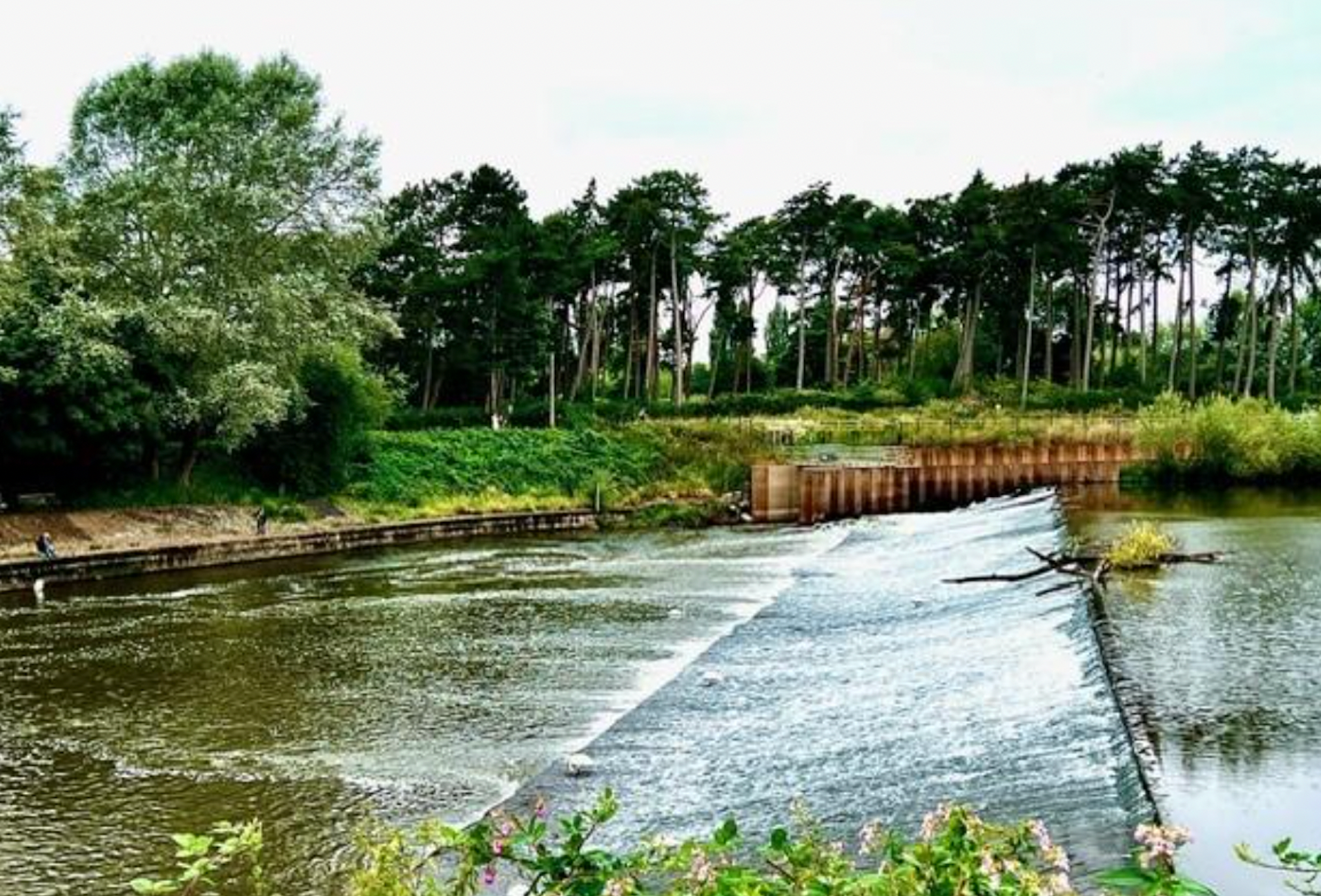Inspirational Tour of Diglis Island Lock and Fish Pass with British ...